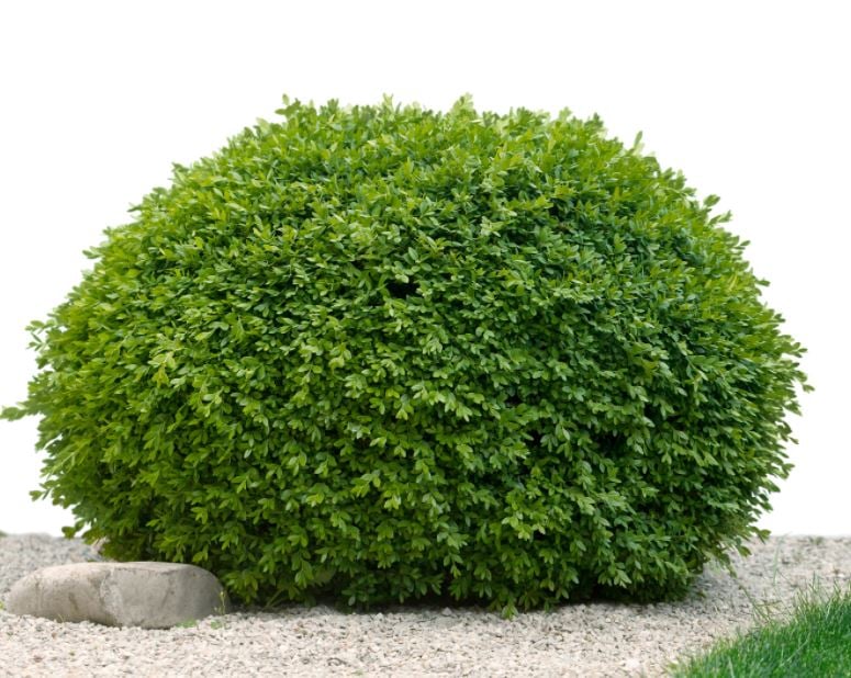 10 American Idioms to Teach Your Exchange Student